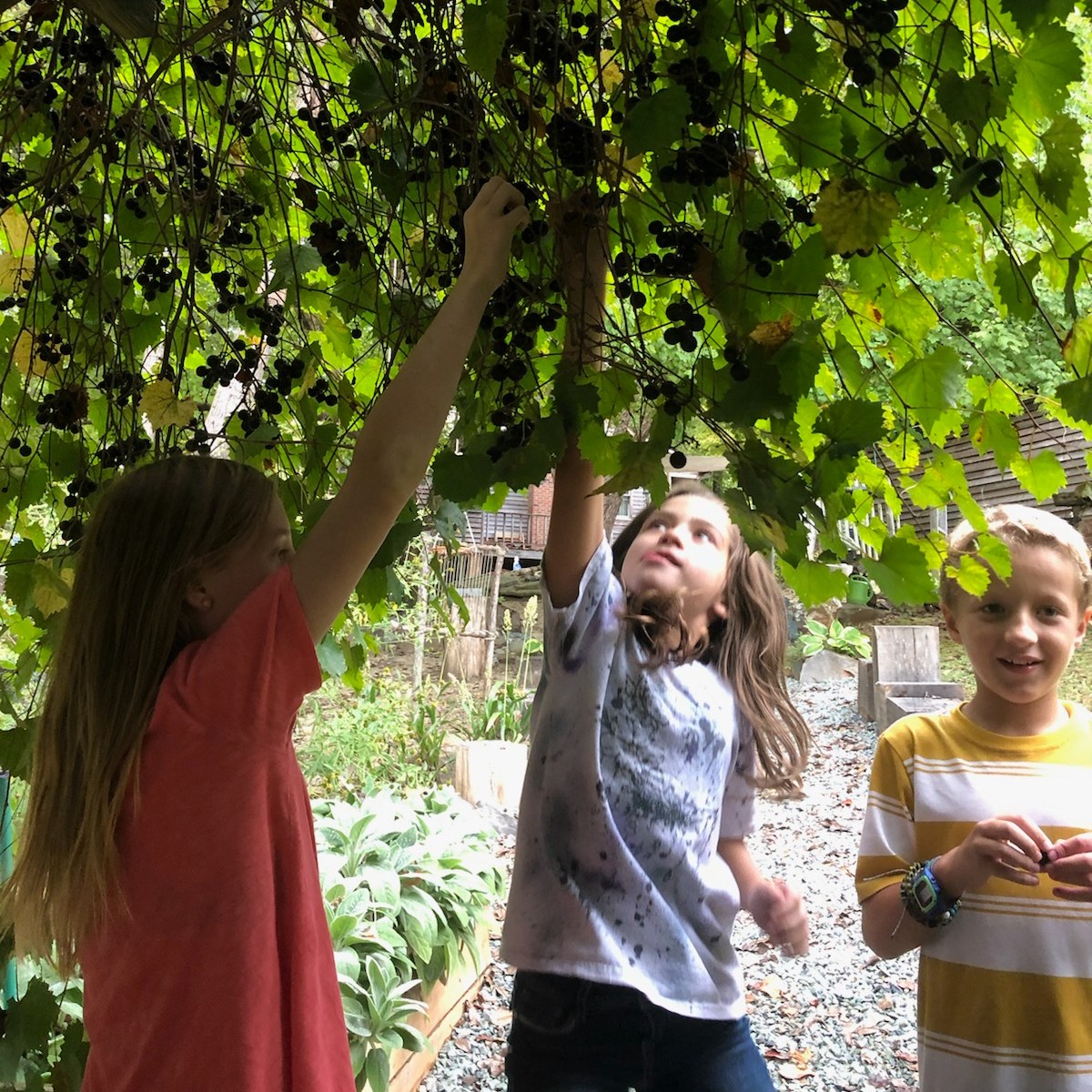 REACH Recognized Programs – REACH Recognition